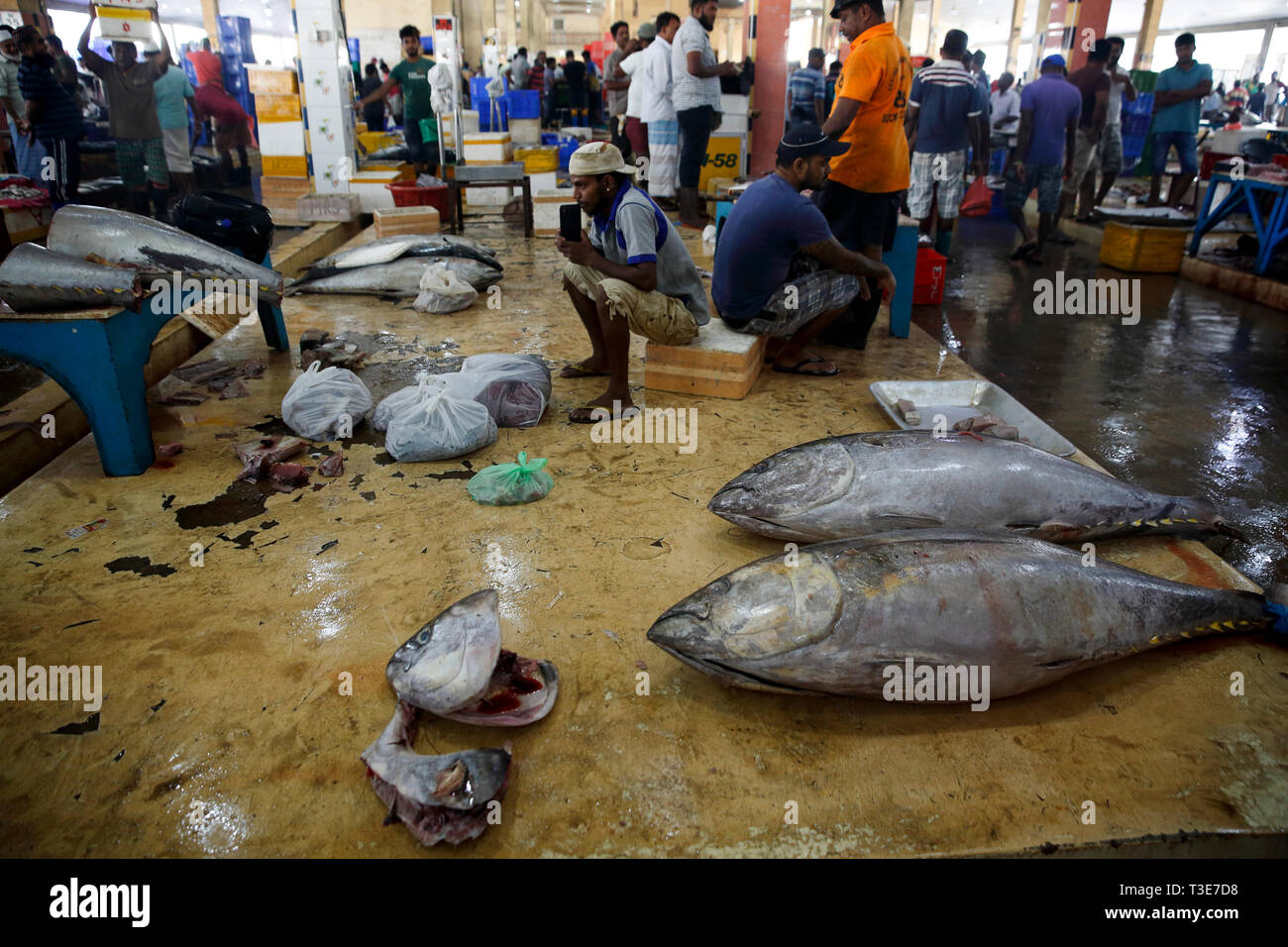 Central fish market in Colombo, Sri Lanka Stock Photo - Alamy