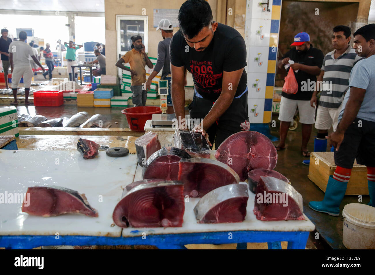 Central fish market in Colombo, Sri Lanka Stock Photo - Alamy