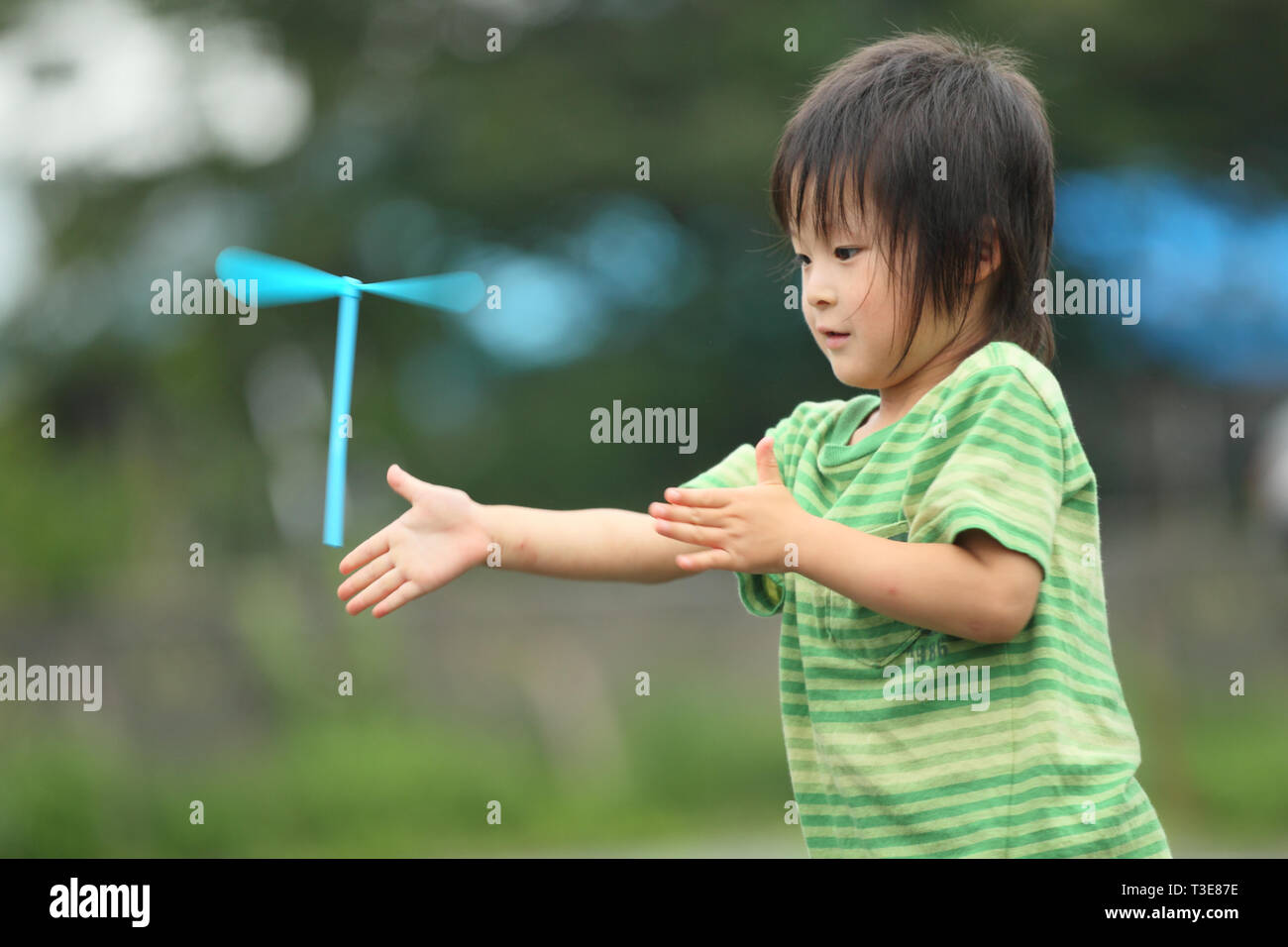 Take tonbo hi-res stock photography and images - Alamy