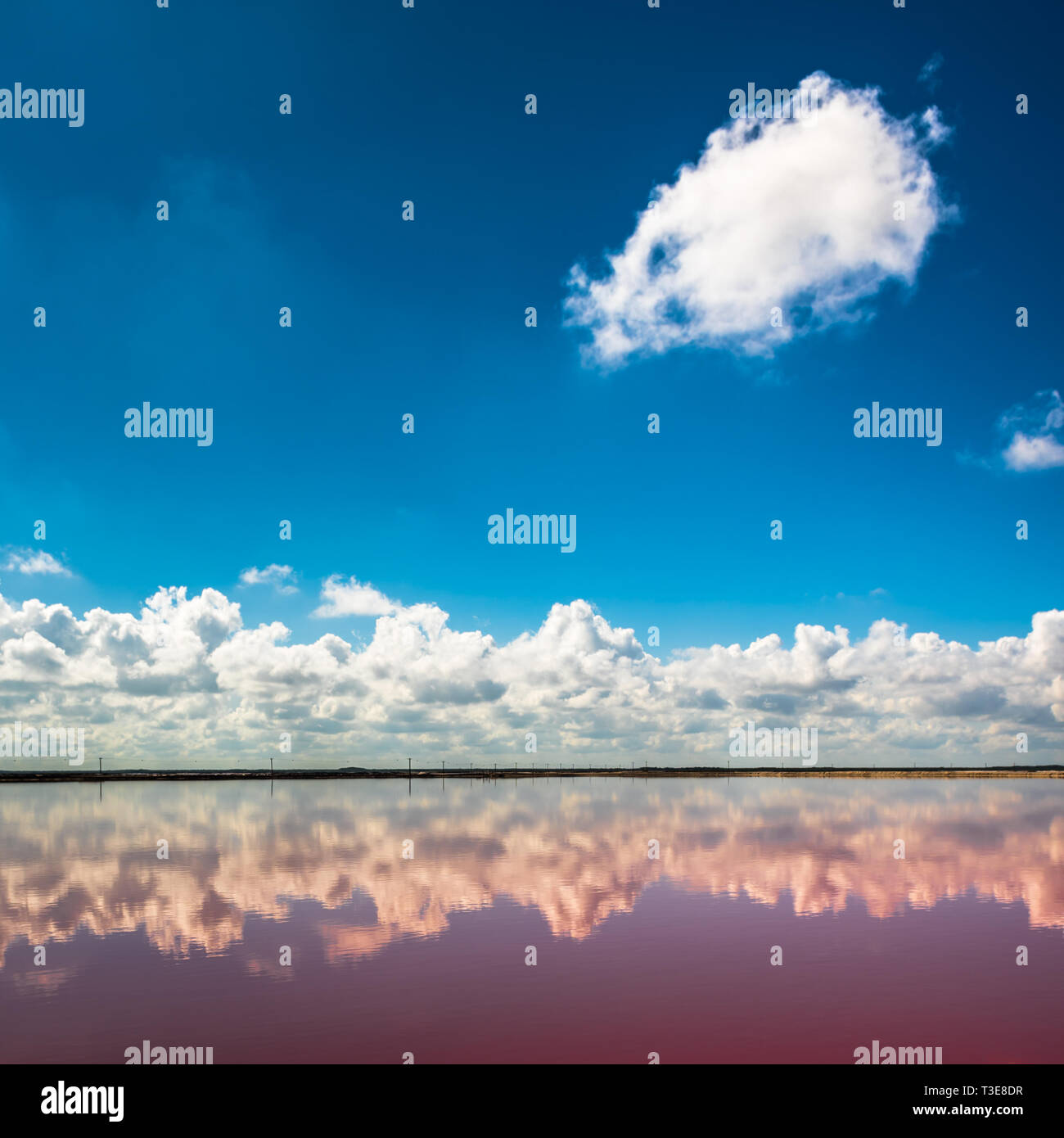Salt pink lagoon in Las Coloradas, Yucatan, Mexico Stock Photo - Alamy