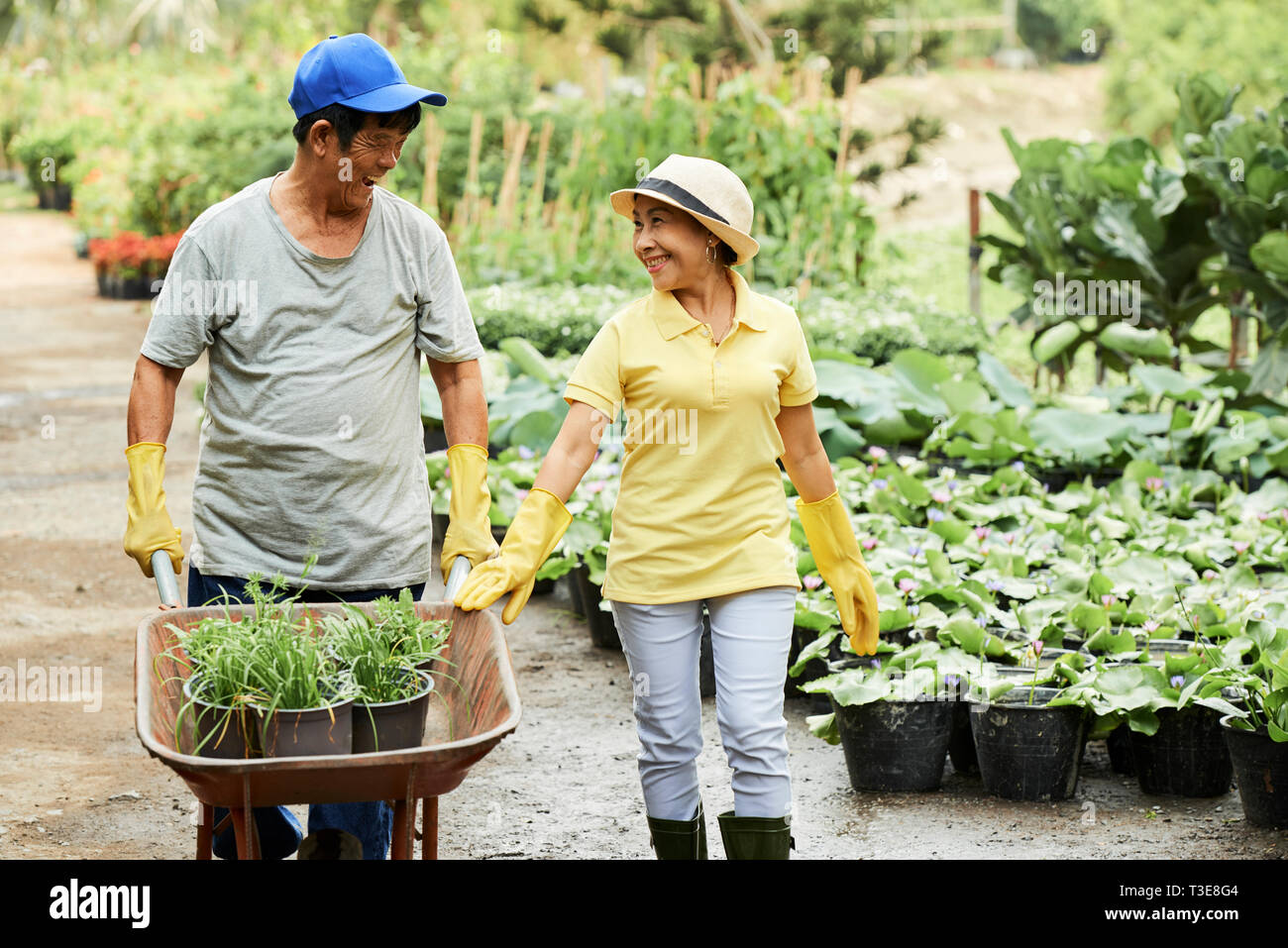 Farm wife hi-res stock photography and images - Alamy