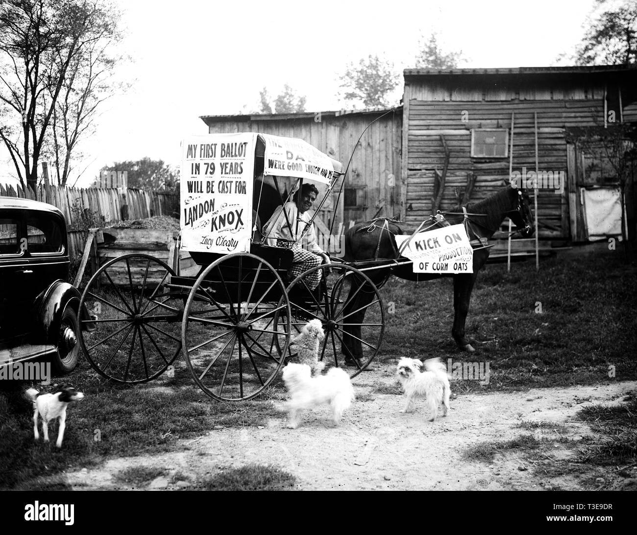 Mrs. Lucy O'Leary will cast her first vote ever on November 3 at age 79 ...