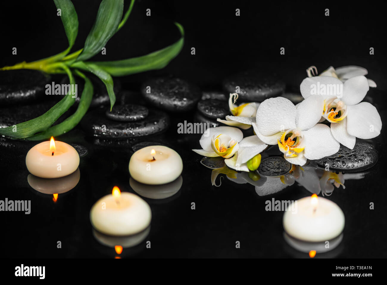 spa setting of white orchid (phalaenopsis), candles, greens and black ...
