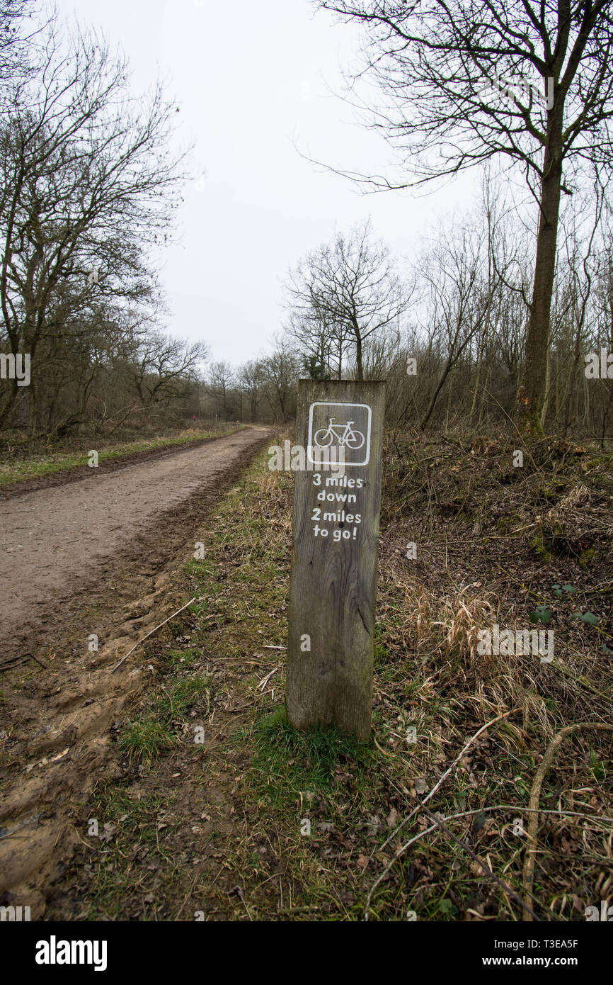Spring in salcey forest hi-res stock photography and images - Alamy