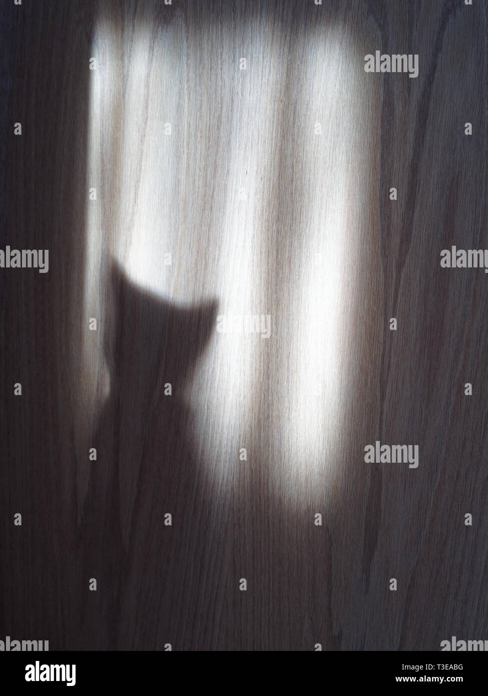 Cat ears hi-res stock photography and images - Alamy