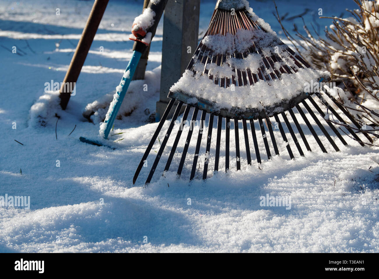 Old rusty garden fork hi-res stock photography and images - Alamy