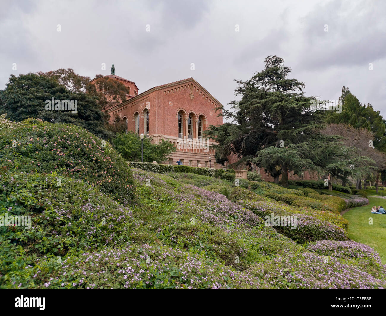Los Angeles, APR 4: Exterior view of the Powell Library on APR 4, 2019 ...