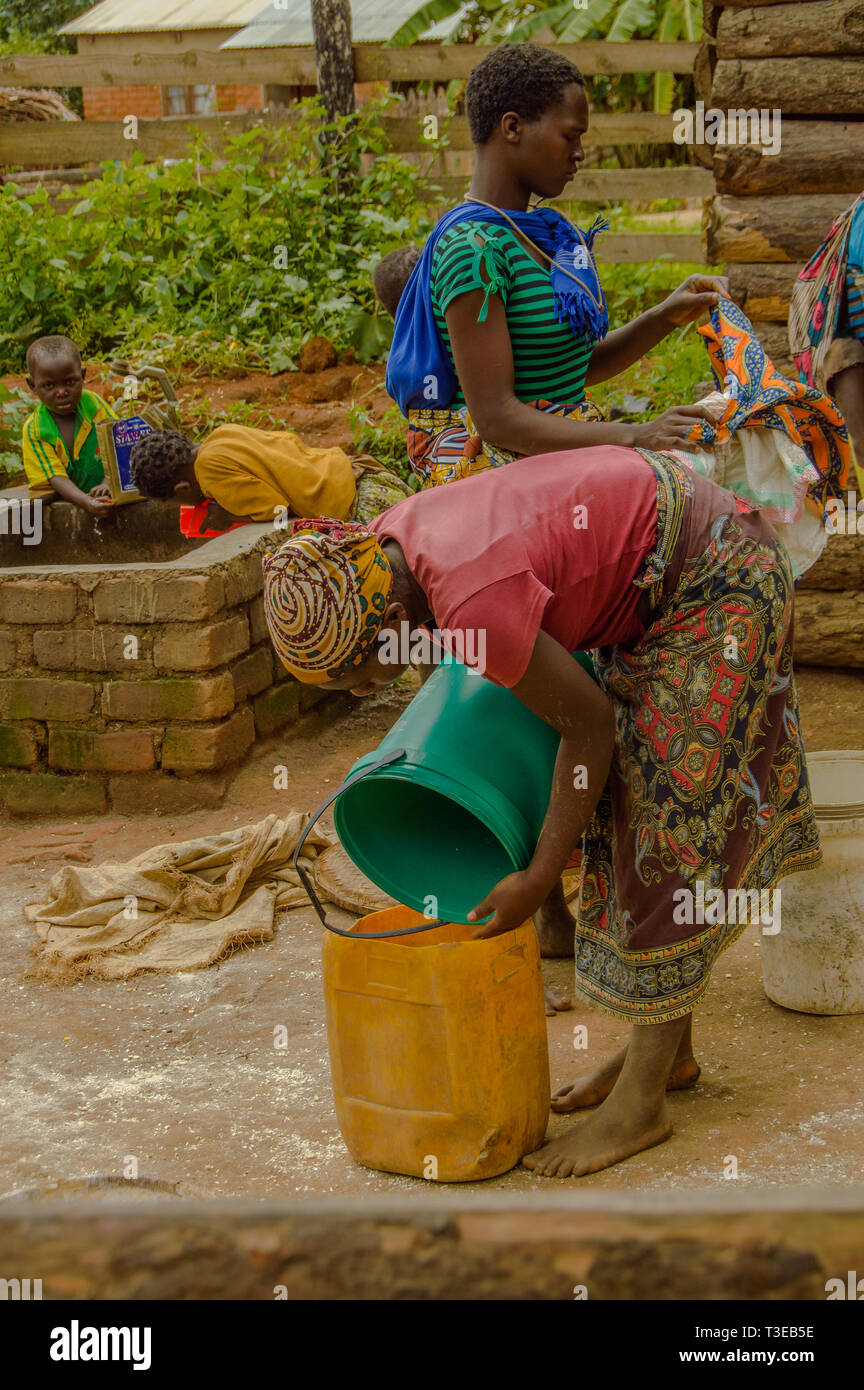 Woman emptying bucket hi-res stock photography and images - Alamy