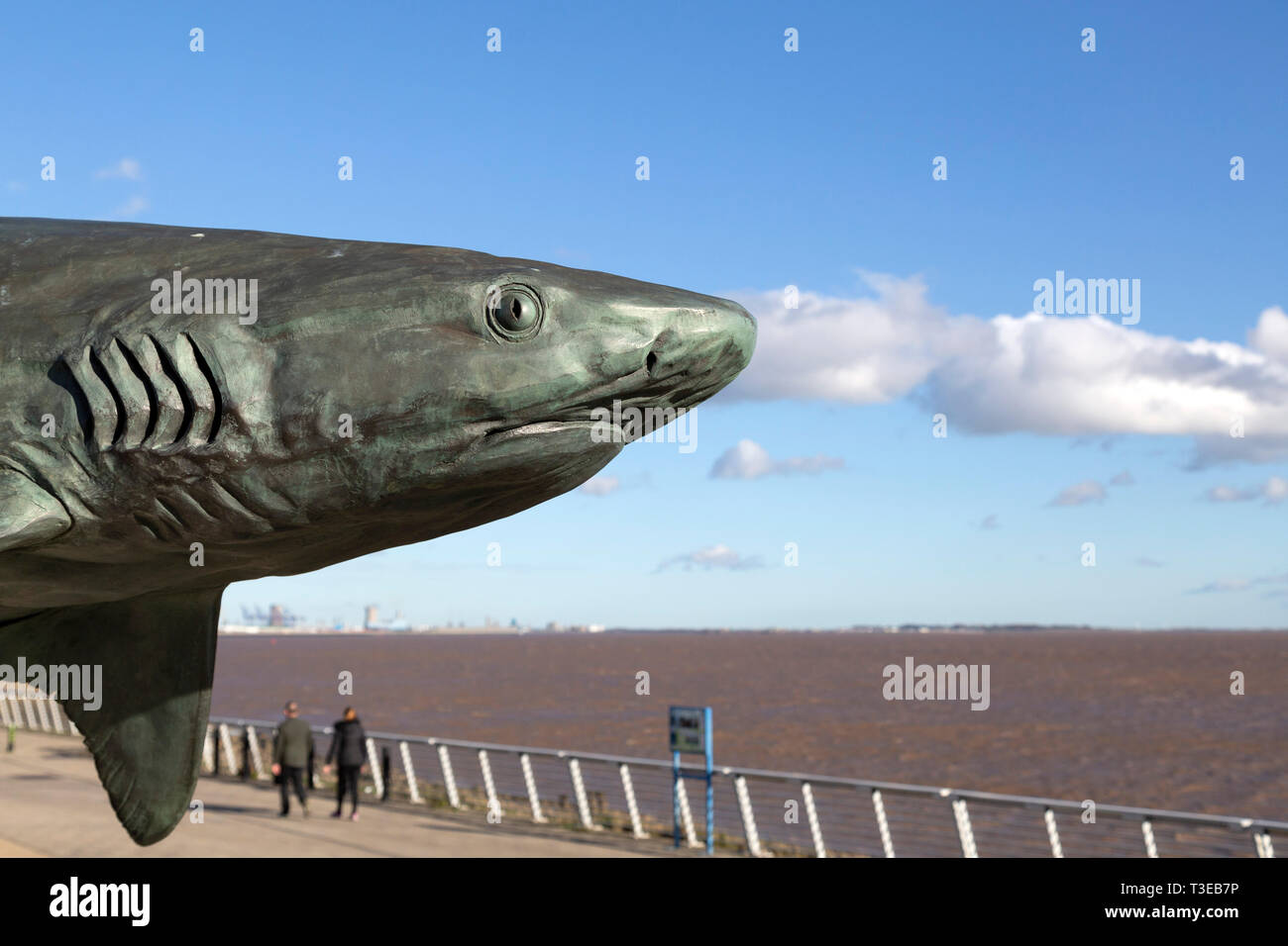 Deep Aquarium In Hull England Stock Photos & Deep Aquarium In Hull ...