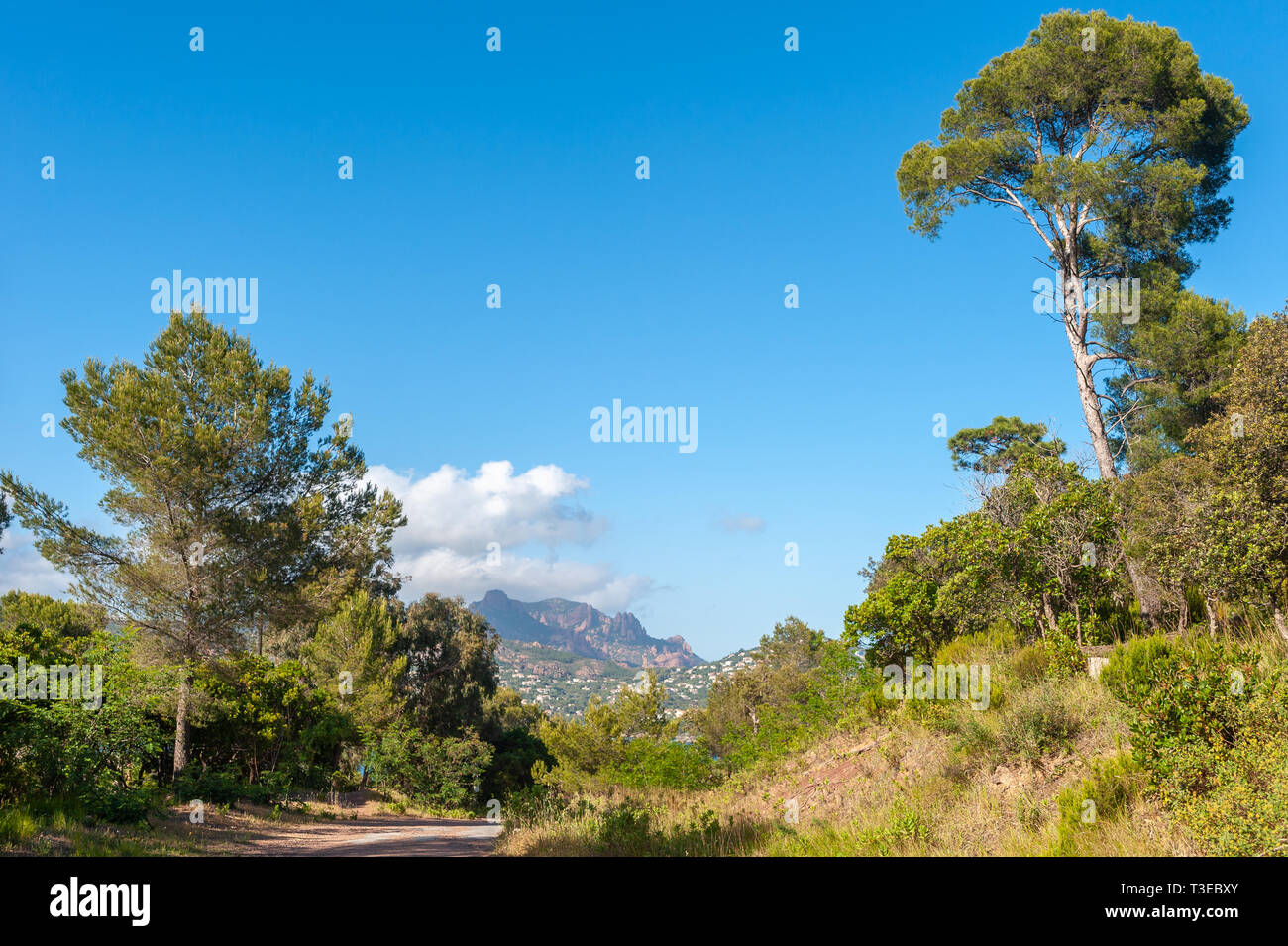 Landscape at Cap du Dramont with the Massif de l'Esterel, Saint-Raphael ...
