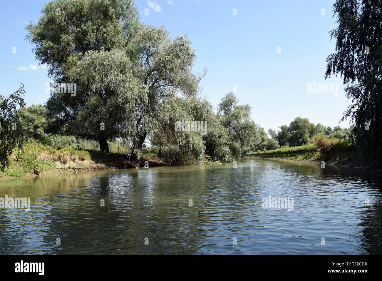 Distributary Of A River