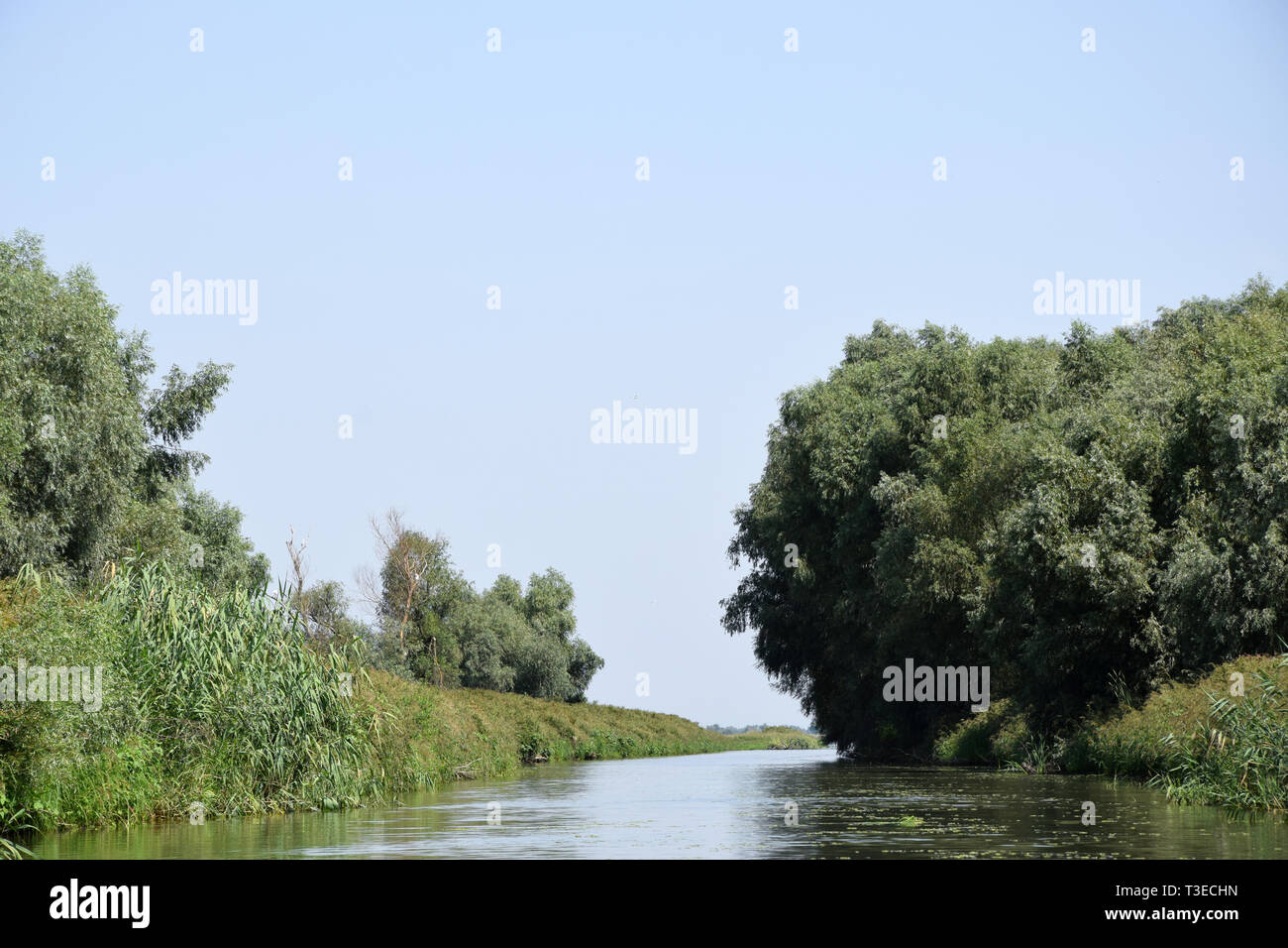 Distributary Of A River