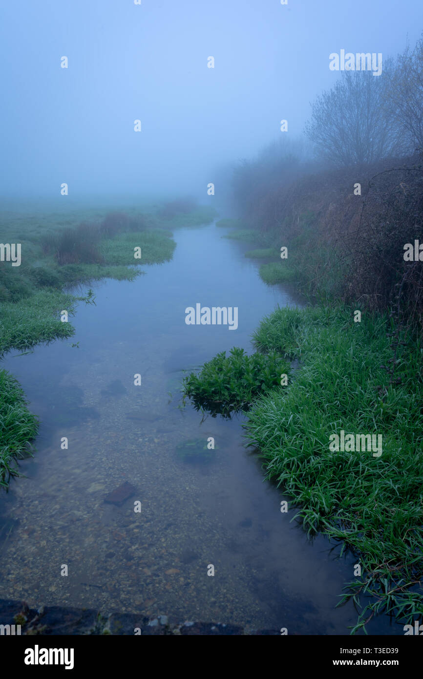Stream flowing through meadow in the mist Stock Photo - Alamy