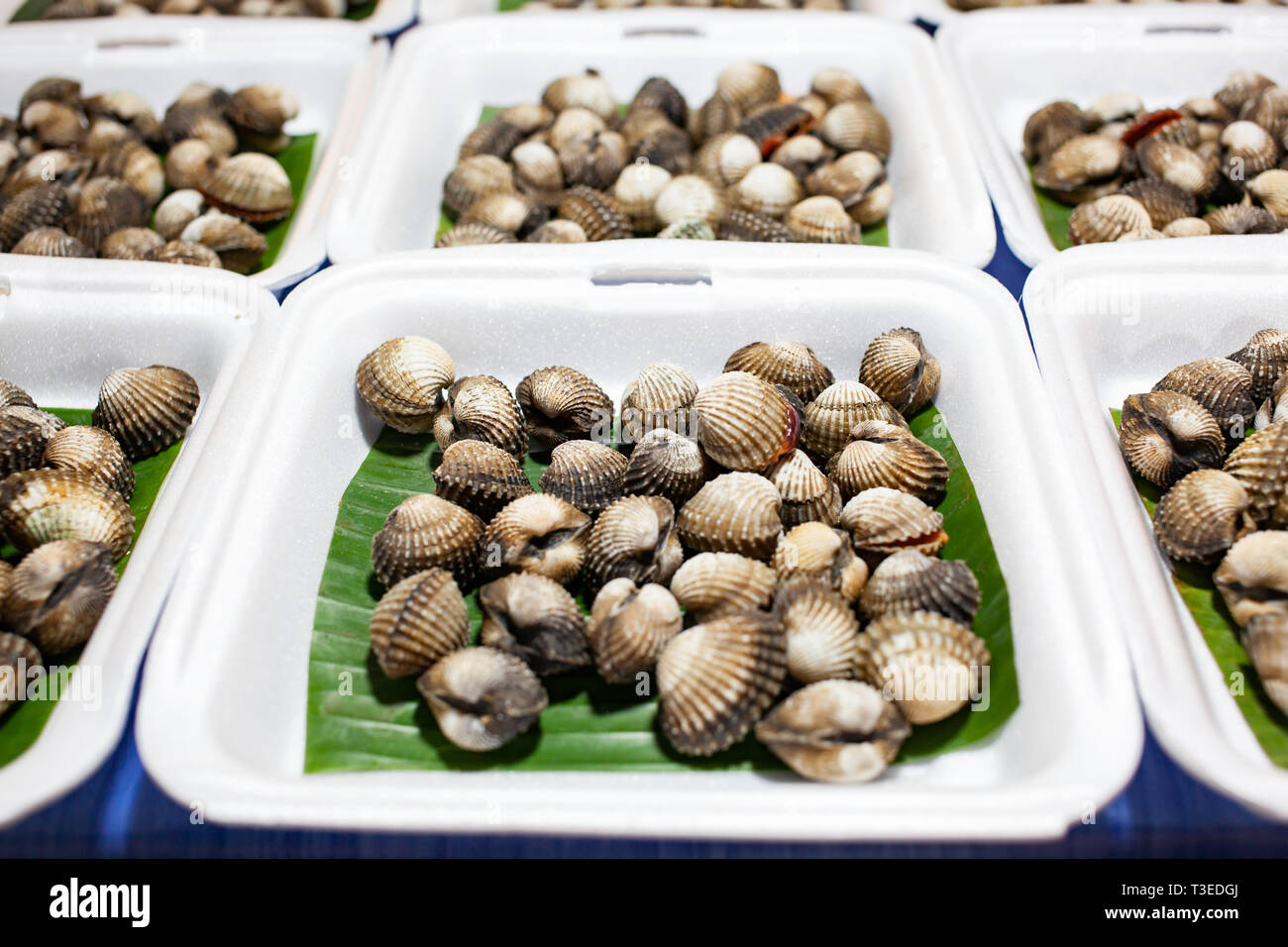 Blanched cockles hi-res stock photography and images - Alamy
