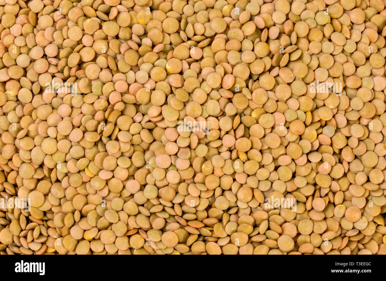 Green lentils texture background. nutrition. bio. natural food ...