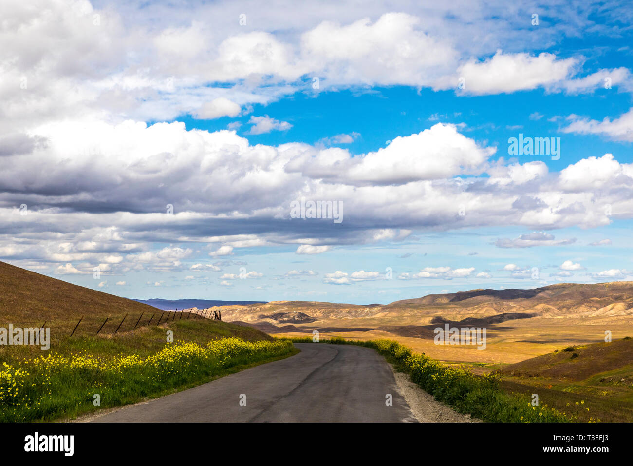 Superbloom in Central California's Diablo Mountain Range spring 2019 ...