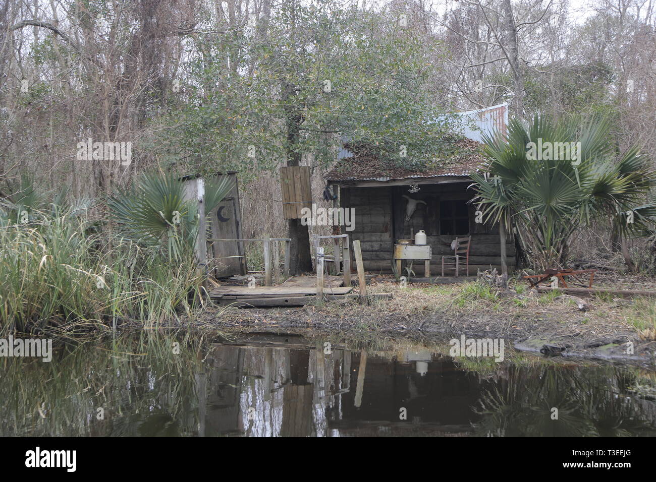 Swamp shack hi-res stock photography and images - Alamy