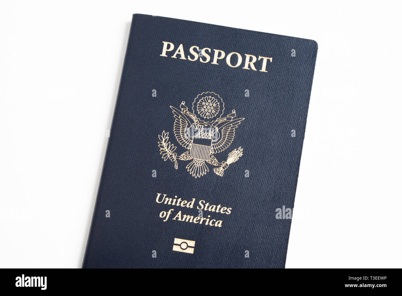 The dark blue front cover with gold-stamped lettering and illustration ...