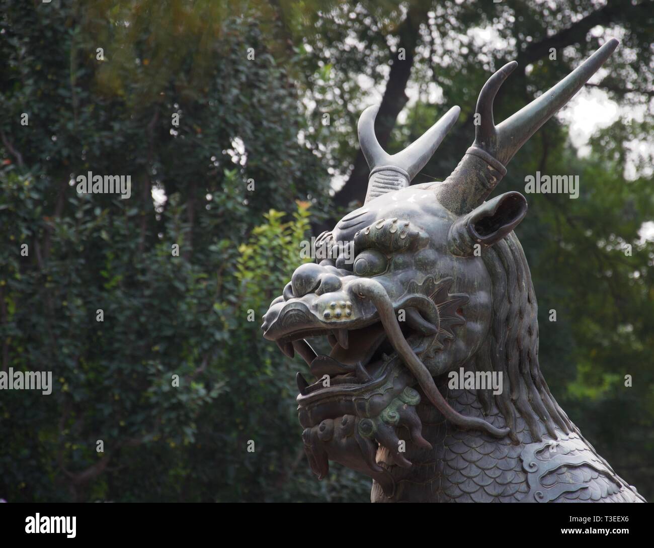 Legend of the chinese dragon hi-res stock photography and images - Alamy