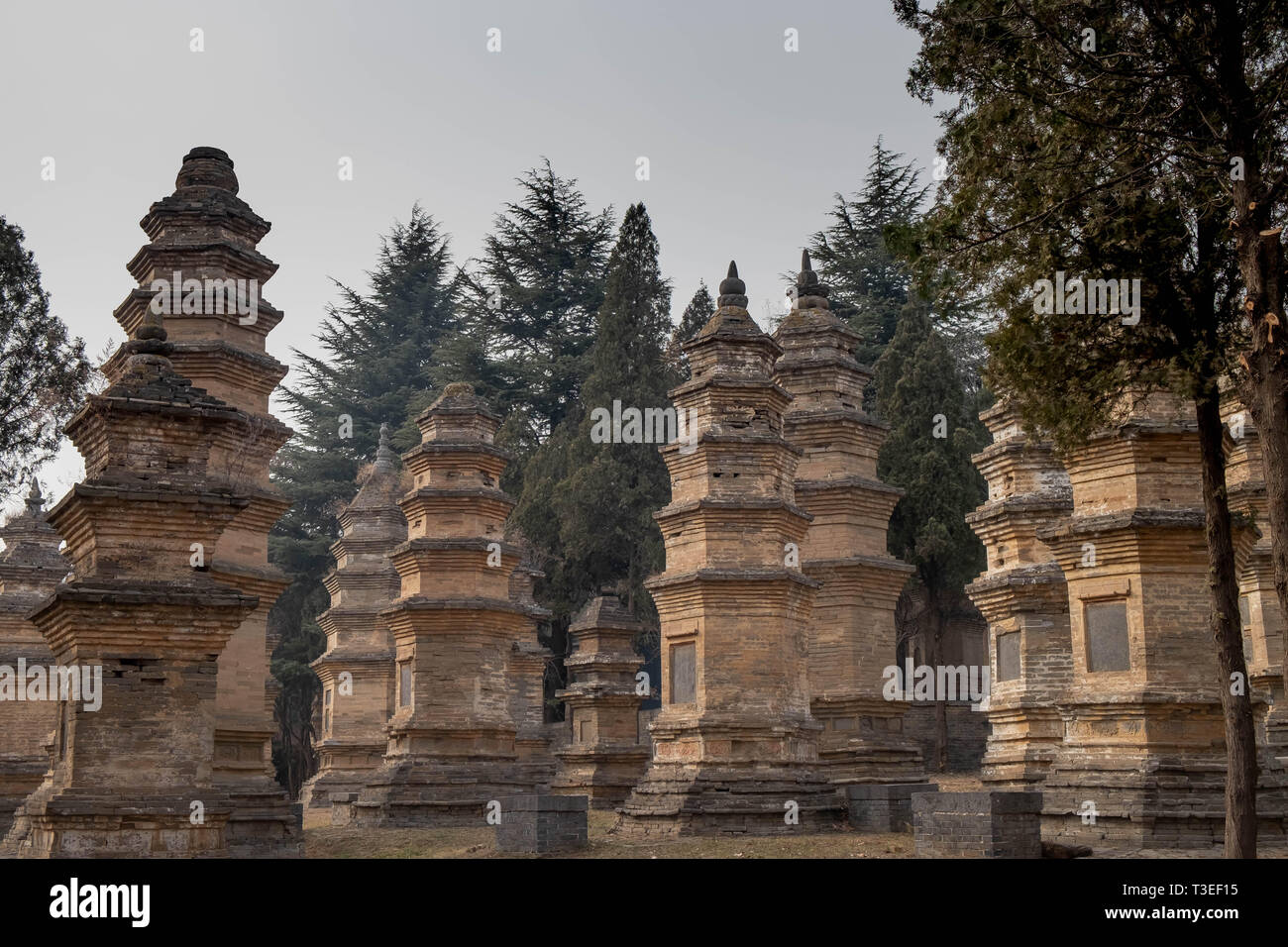 Dengfeng, Henan/China- JANUARY 20, 2019: Talin Pagodas, It’s memorial ...