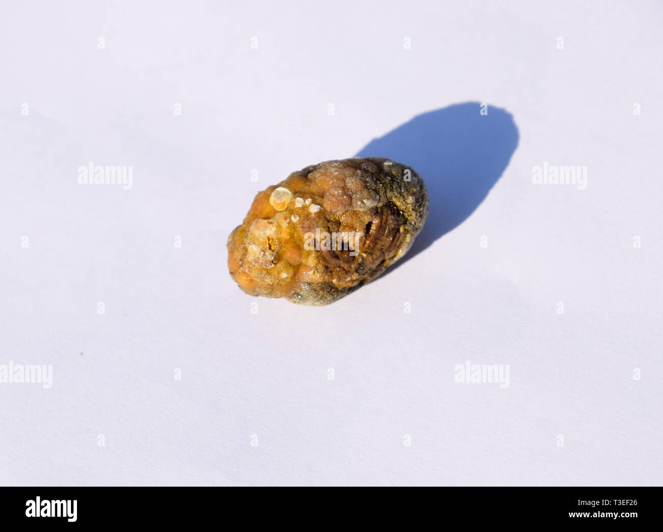 Laparoscopic gallbladder removal surgery hi-res stock photography and ...