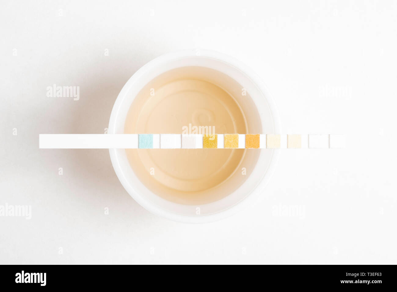 A combination of urine sample on a small round plastic container and a ...