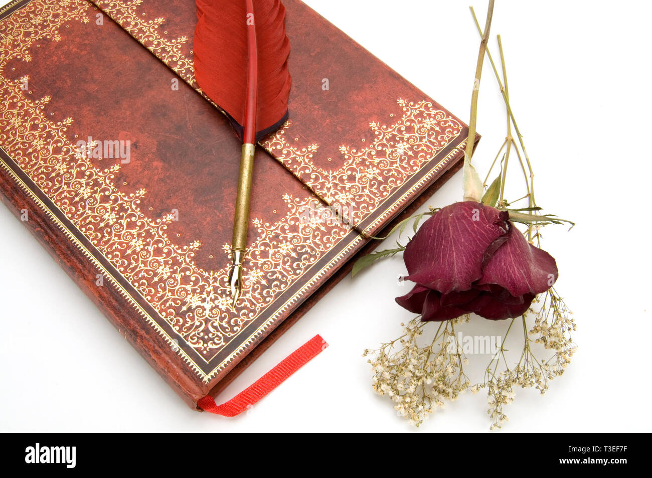 Antique Red Book with Red Feather Fountain Pen and Dried Roses Stock ...