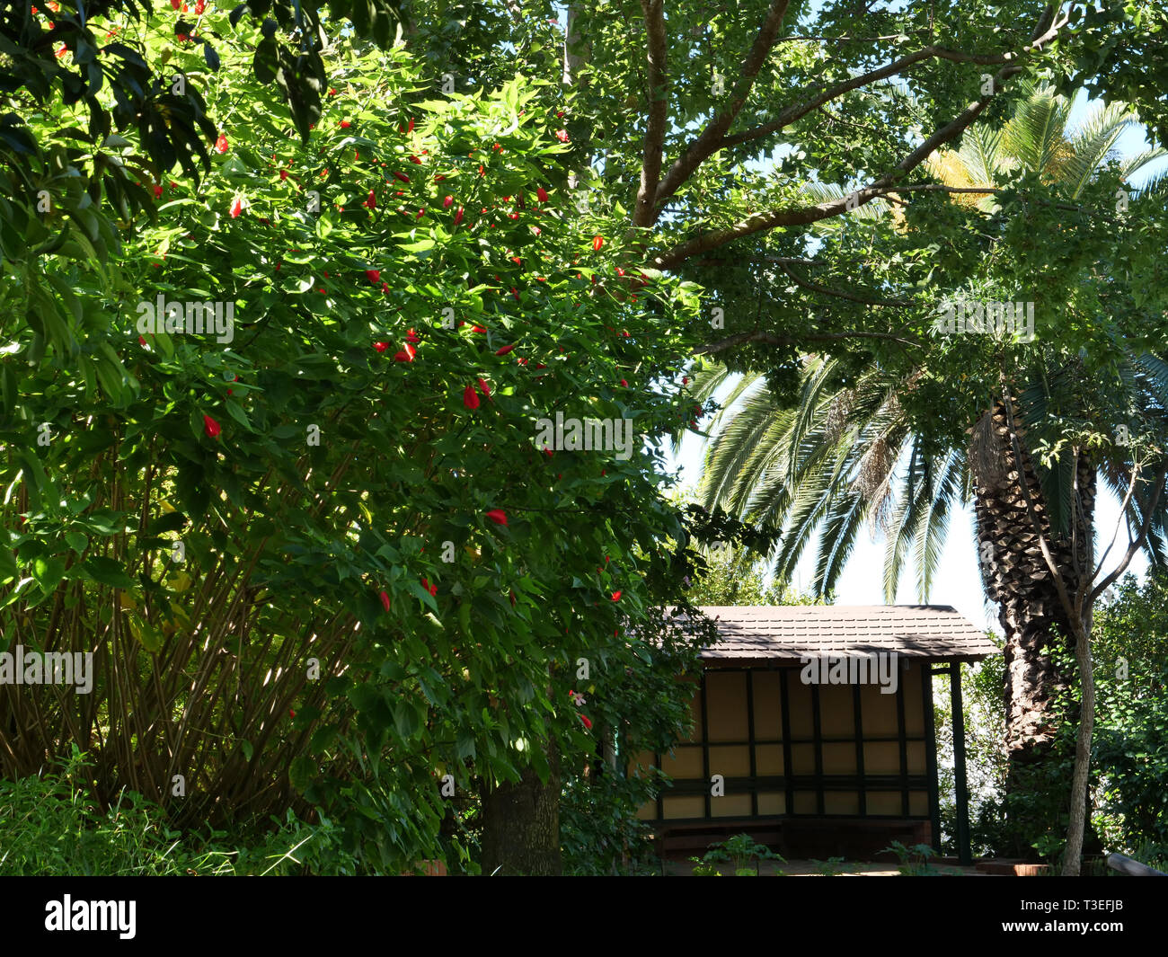 Perth parks in autumn hi-res stock photography and images - Alamy