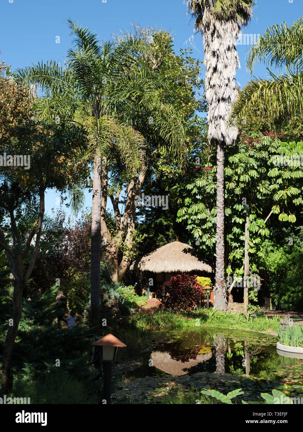 Perth parks in autumn hi-res stock photography and images - Alamy