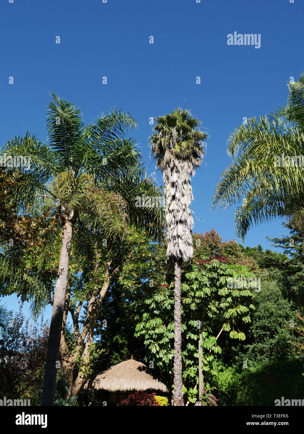 Perth parks in autumn hi-res stock photography and images - Alamy