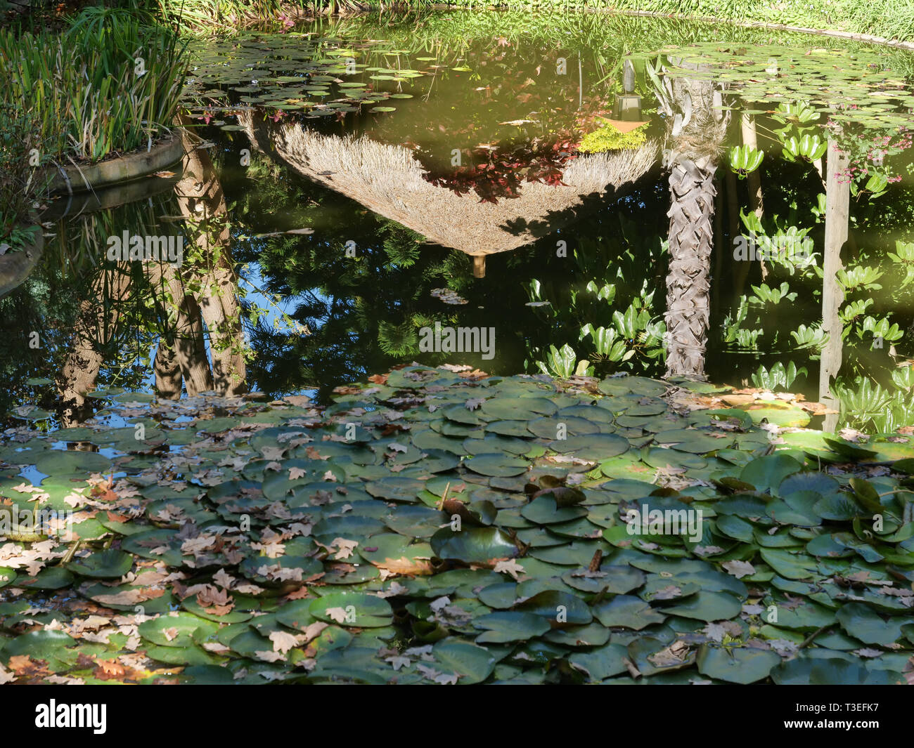 Perth parks in autumn hi-res stock photography and images - Alamy