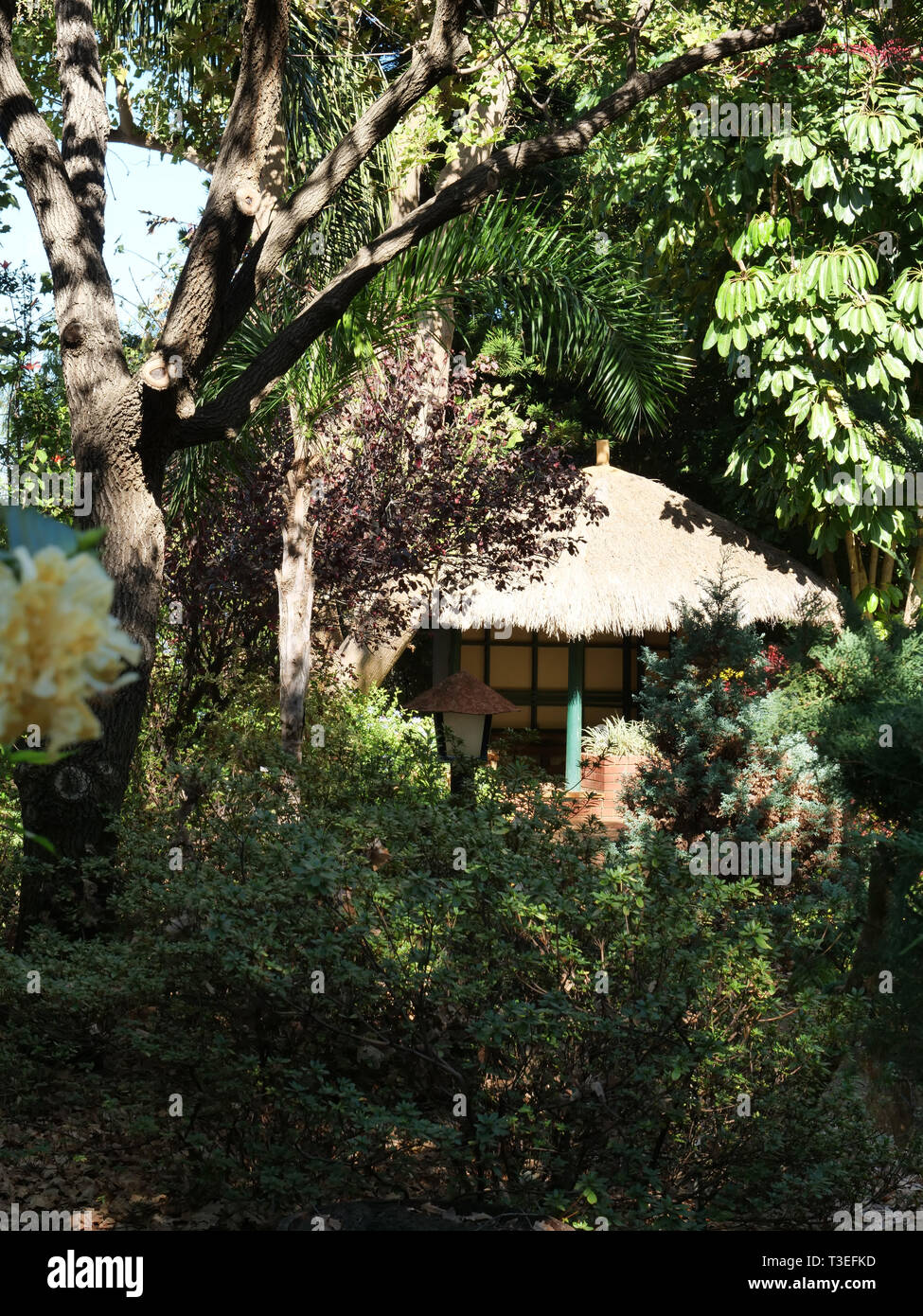 Perth parks in autumn hi-res stock photography and images - Alamy