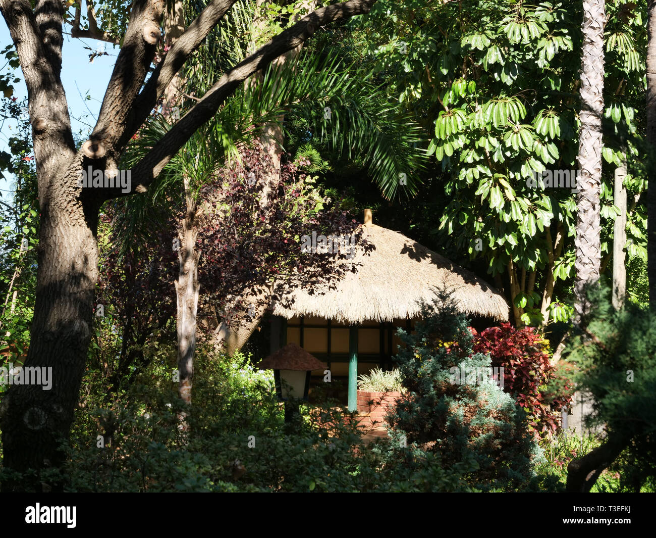 Perth parks in autumn hi-res stock photography and images - Alamy