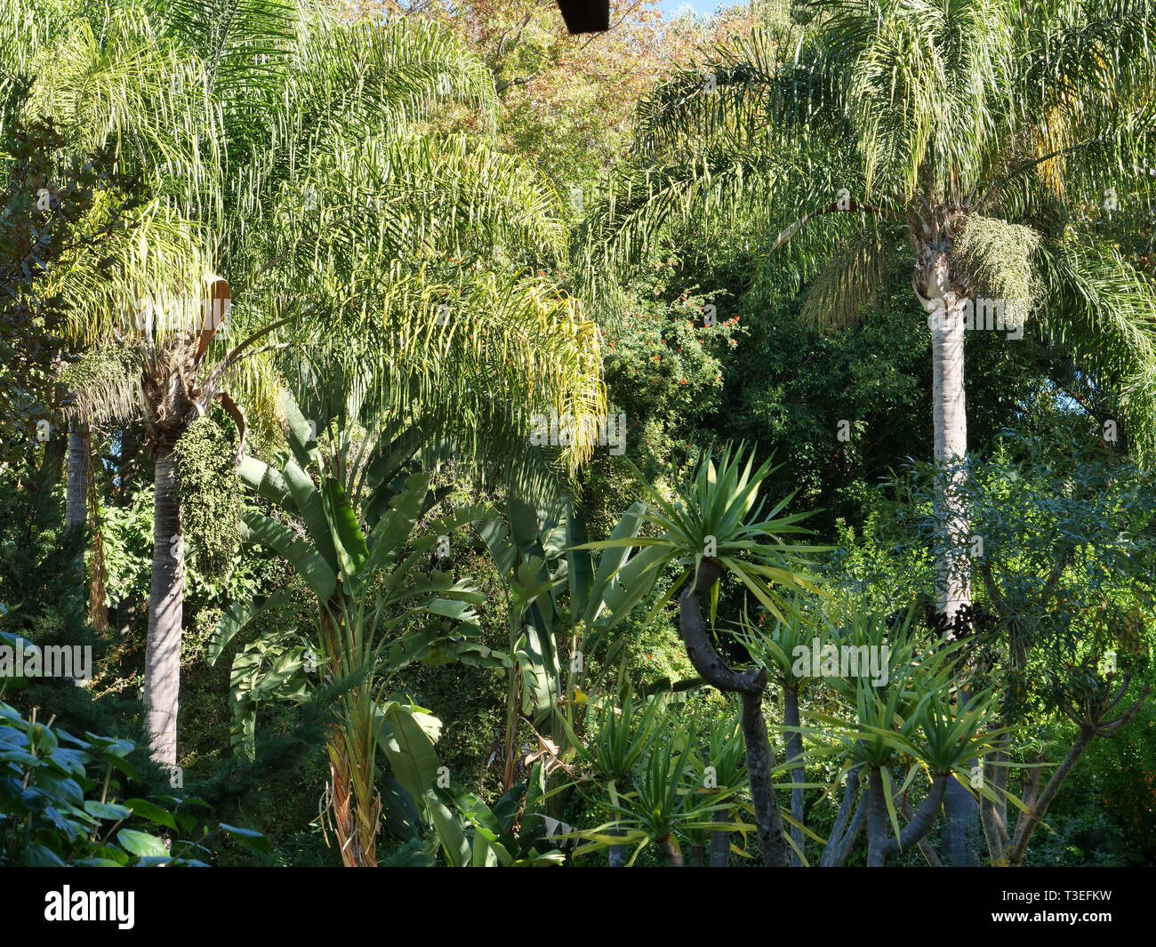 Wanneroo Botanical Garden has a mixture of native and imported garden ...