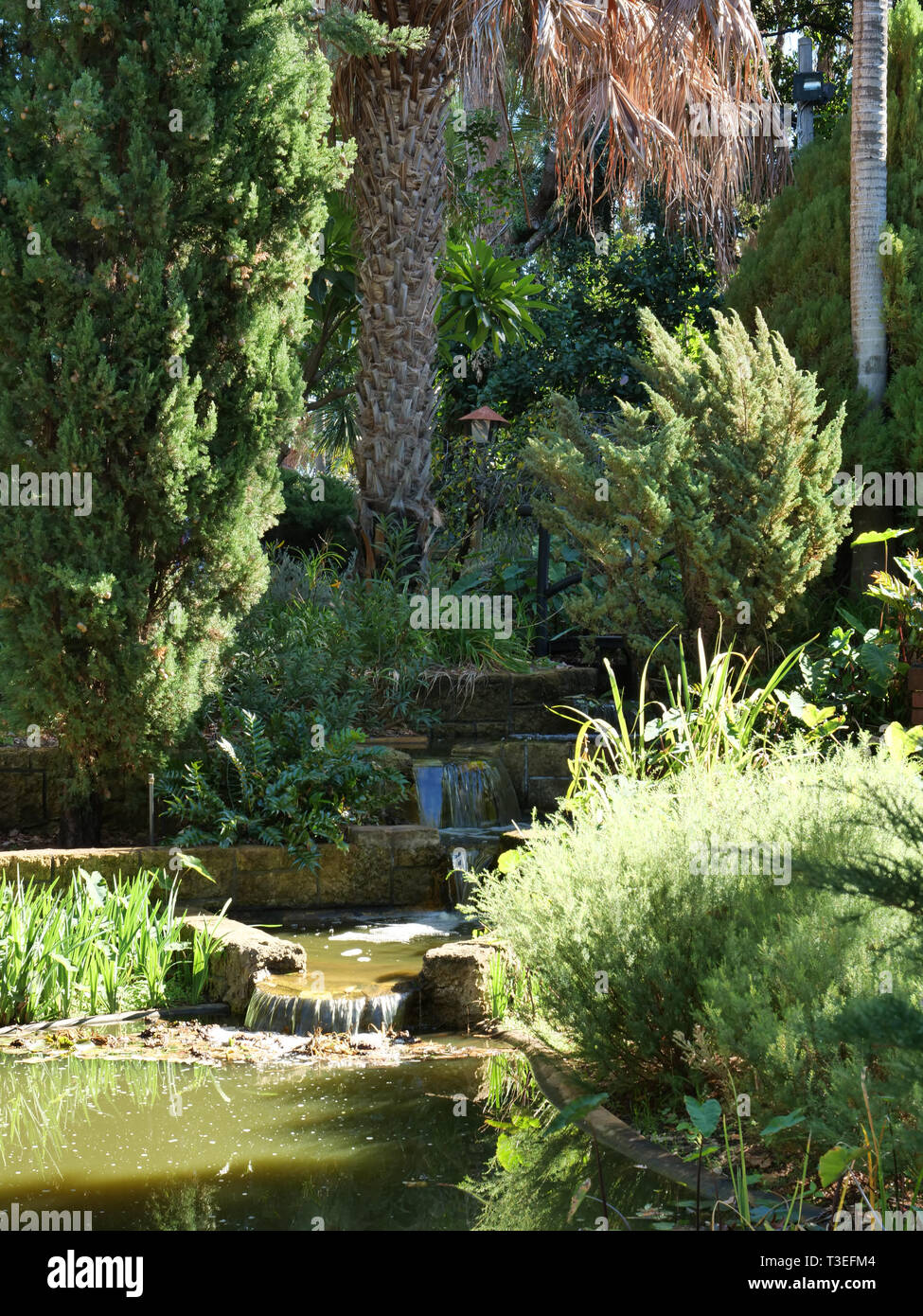 Wanneroo Botanical Garden has a mixture of native and imported garden ...