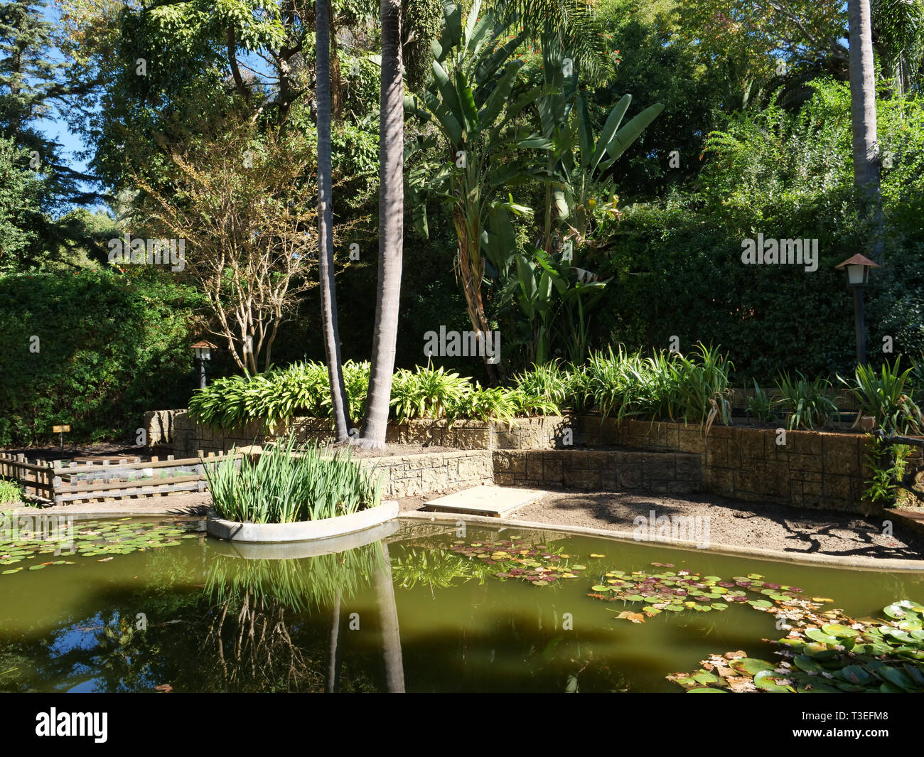 10+ Wanneroo Mini Golf Gif