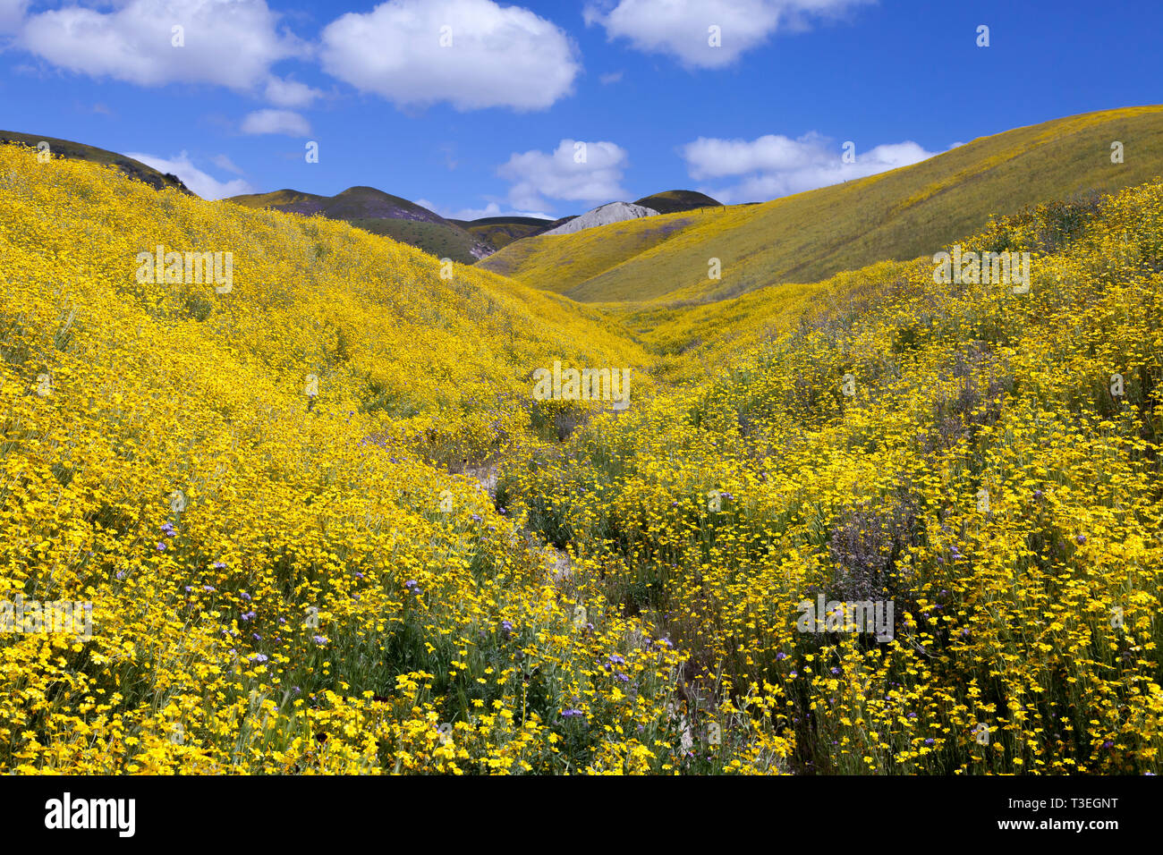 Temblor range hi-res stock photography and images - Alamy
