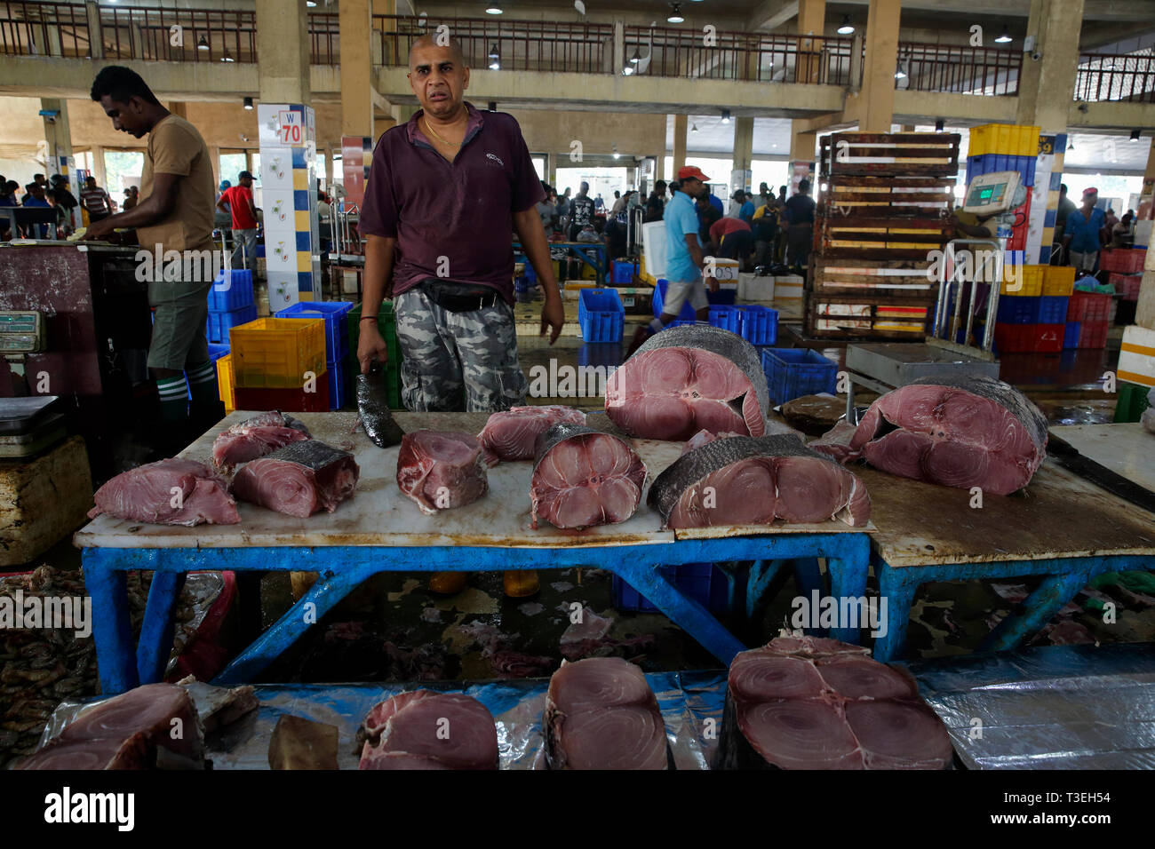 Central fish market in Colombo, Sri Lanka Stock Photo - Alamy