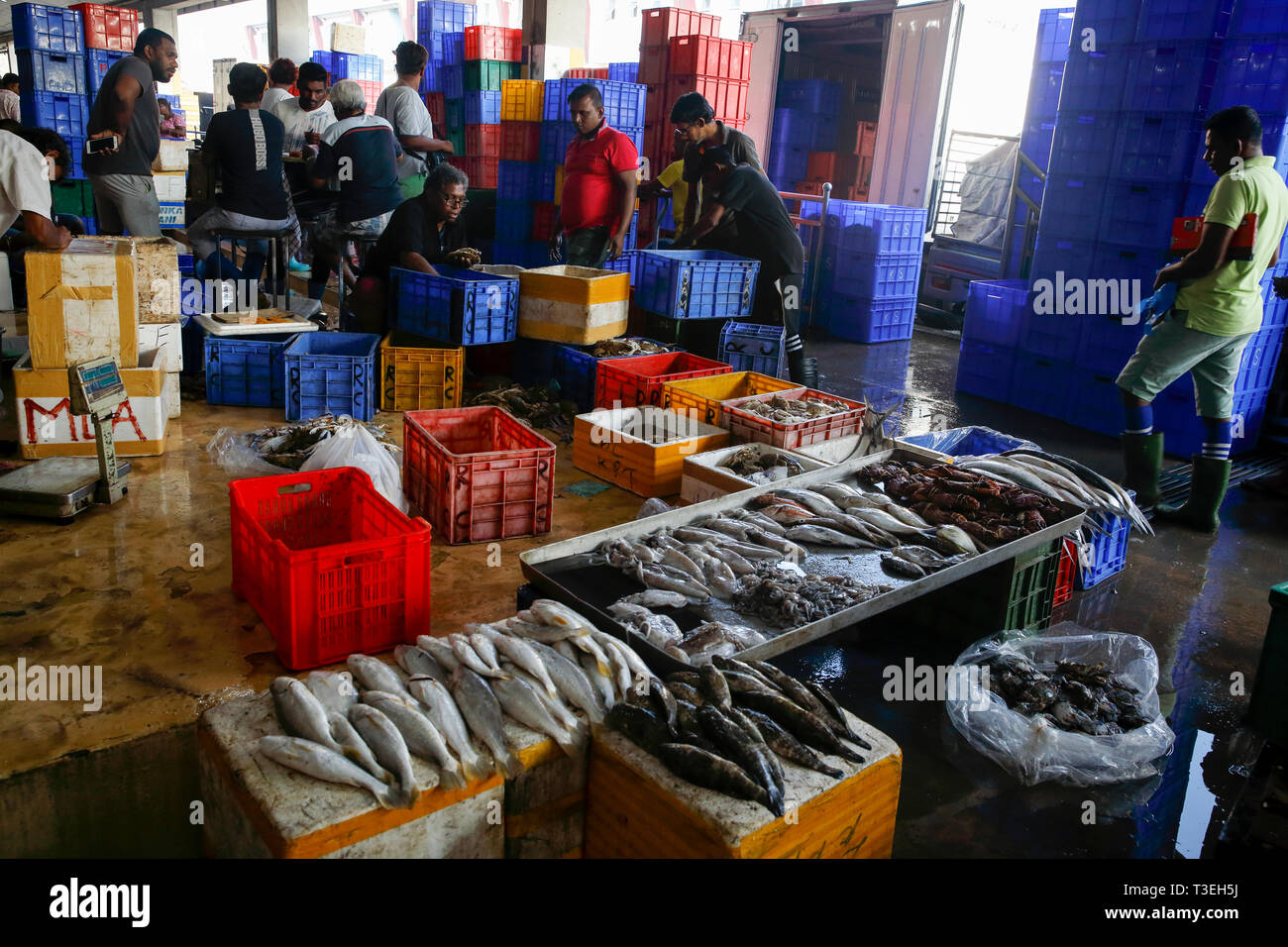 Central fish market in Colombo, Sri Lanka Stock Photo - Alamy