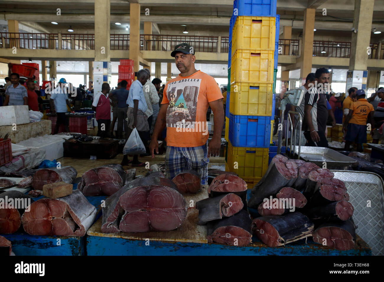 Central fish market in Colombo, Sri Lanka Stock Photo - Alamy