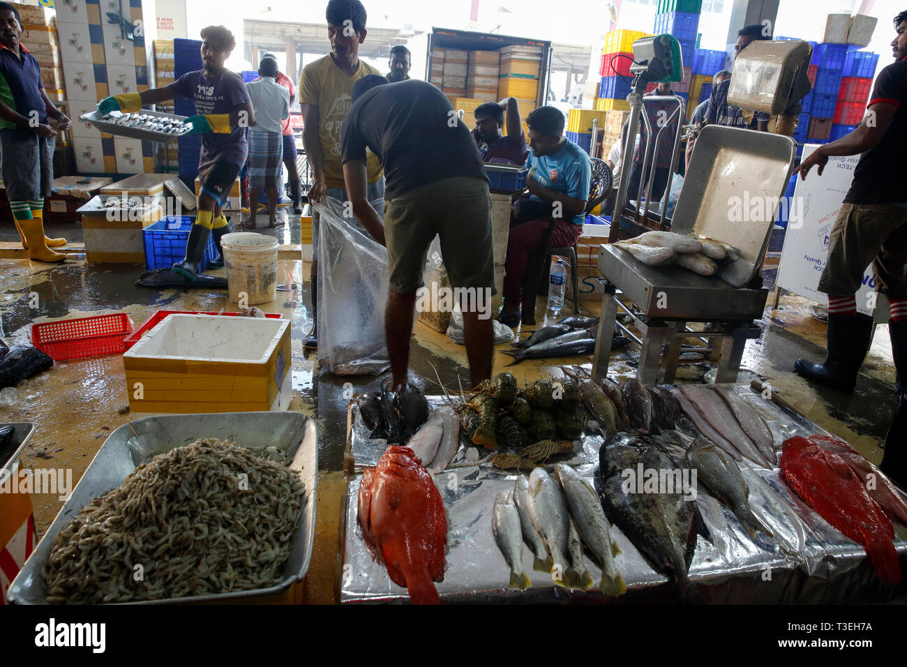 Central fish market in Colombo, Sri Lanka Stock Photo - Alamy
