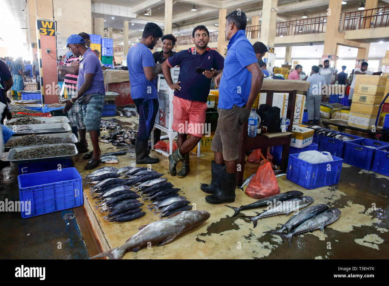 Colombo food seller hi-res stock photography and images - Alamy