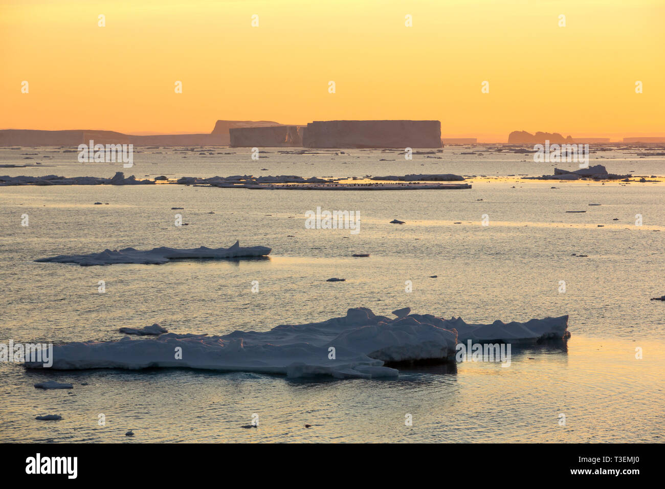 Sea ice and icebergs in the Antarctic Sound, Weddell Sea, Antarctica at ...