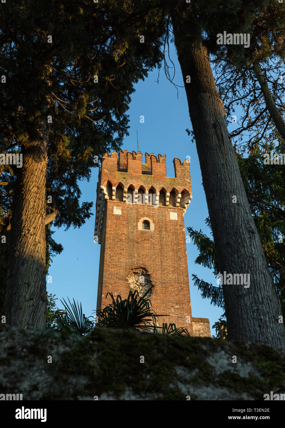 Scaligeri Castle in Lazise at Lake Garda, Italy Stock Photo - Alamy