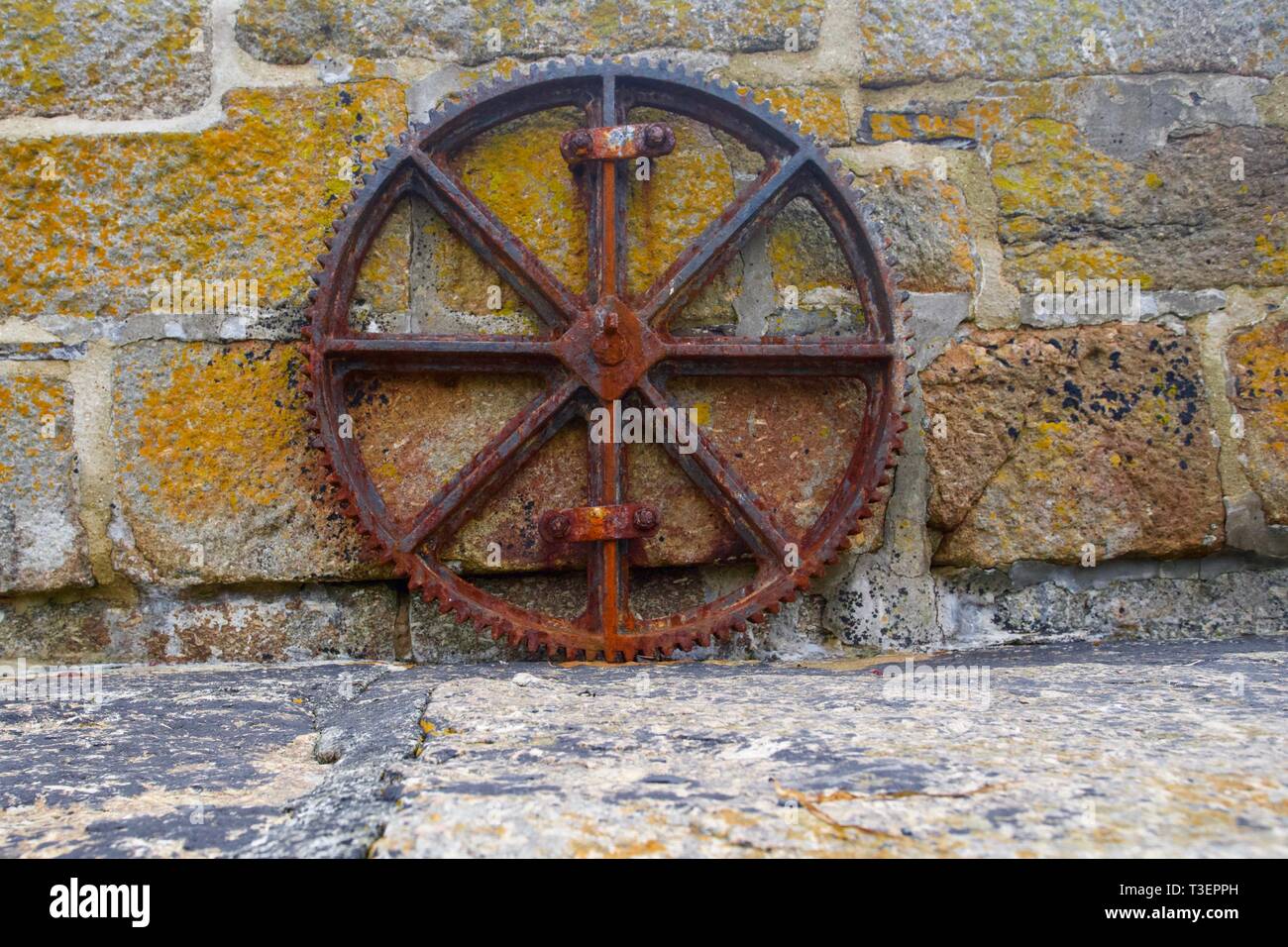 Rusty Cog Wheel Stock Photo - Alamy