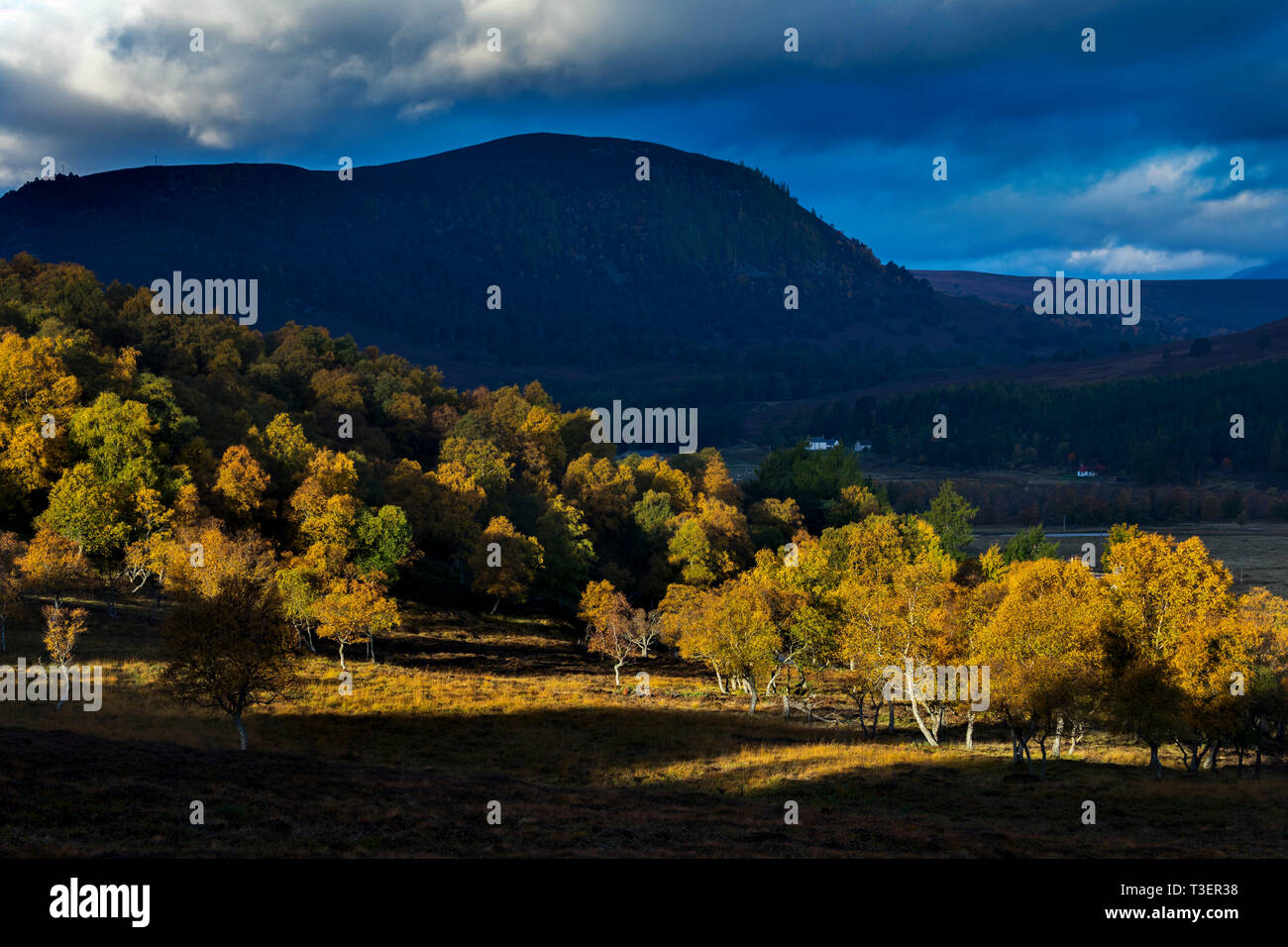 Dee valley scotland hi-res stock photography and images - Alamy
