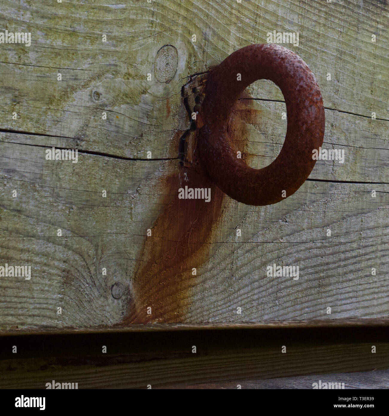 Eyelet hi-res stock photography and images - Alamy