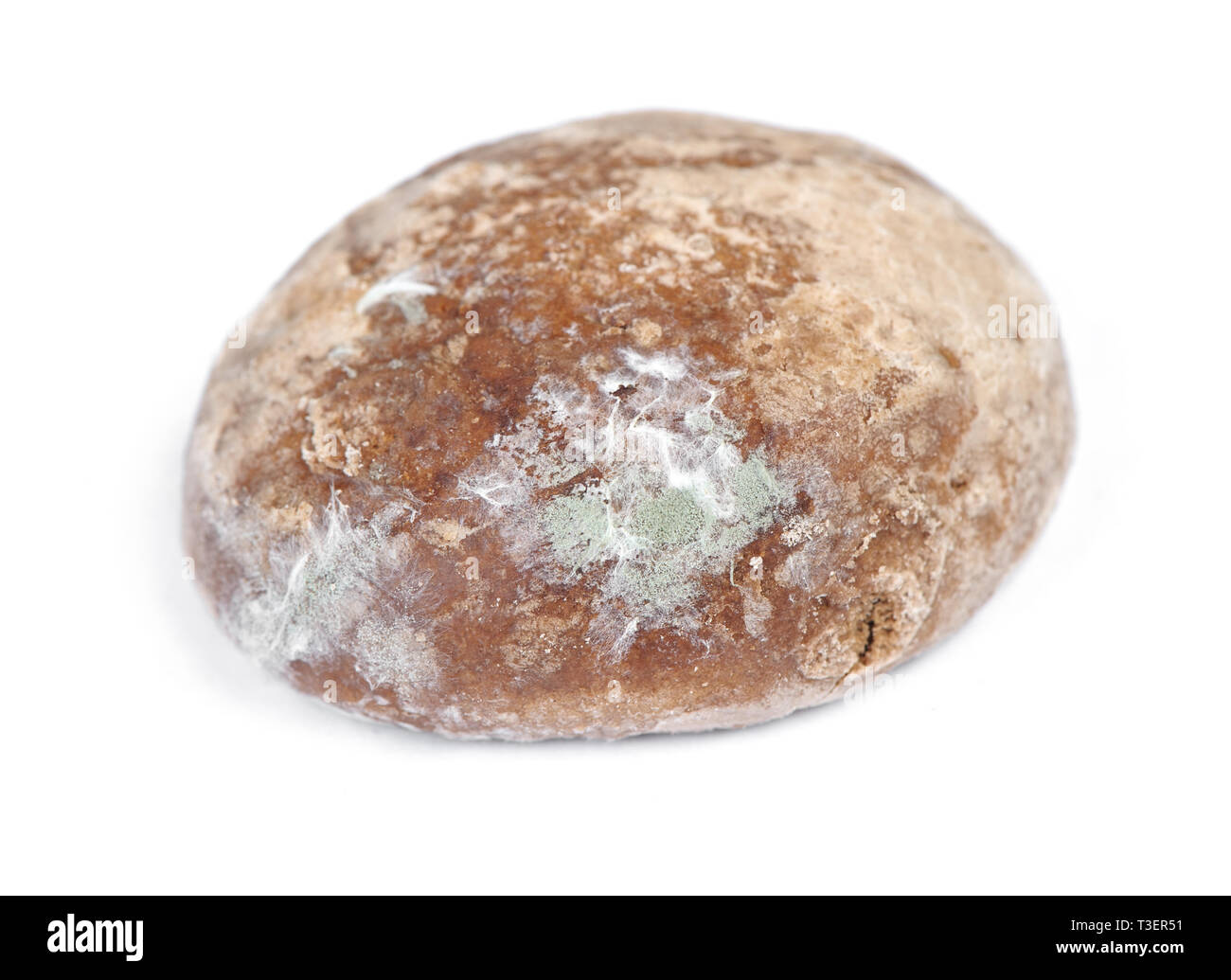 Moldy cake hi-res stock photography and images - Alamy