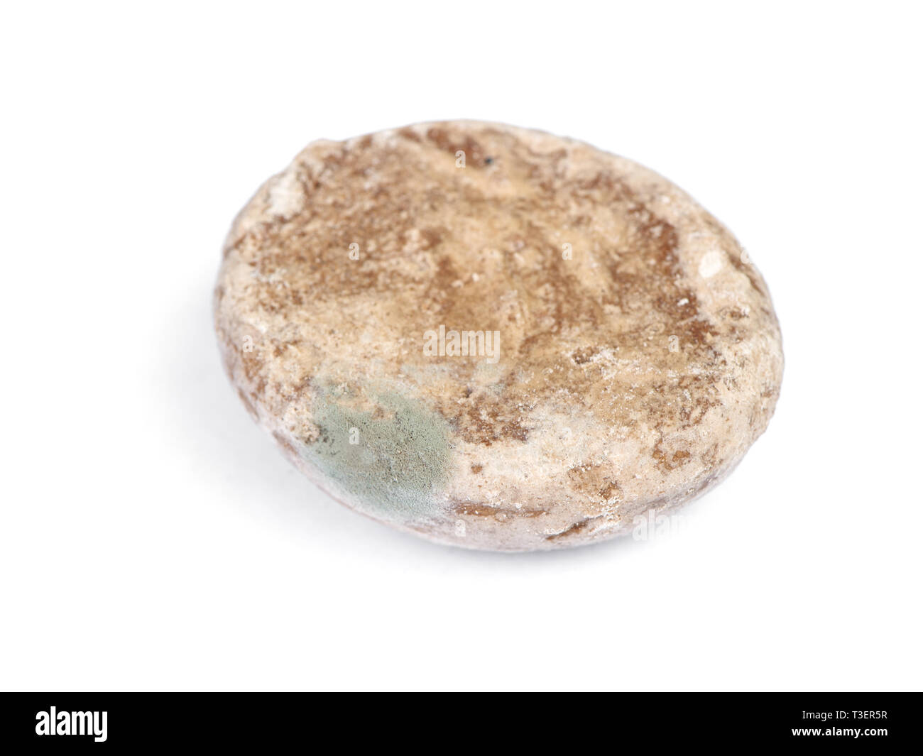 One moldy gingerbread cookie isolated on white background Stock Photo ...