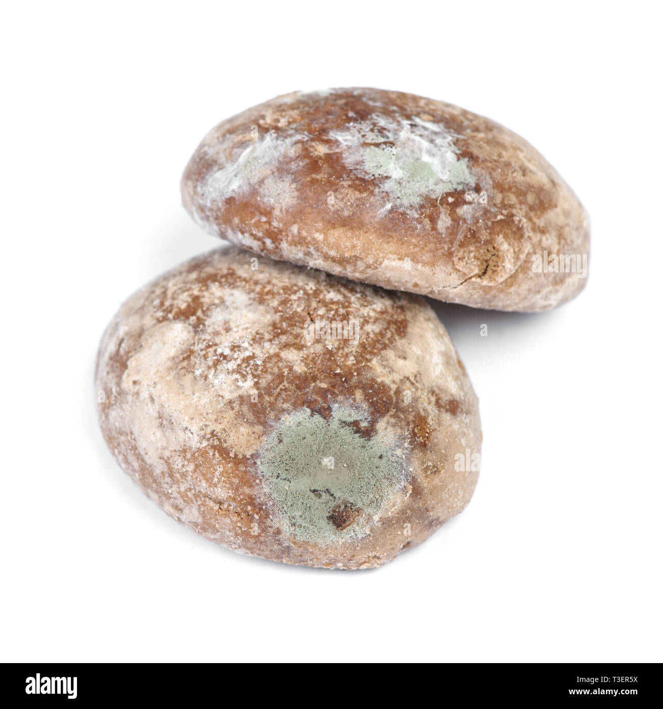 Group of moldy gingerbread cookies isolated on white background Stock ...